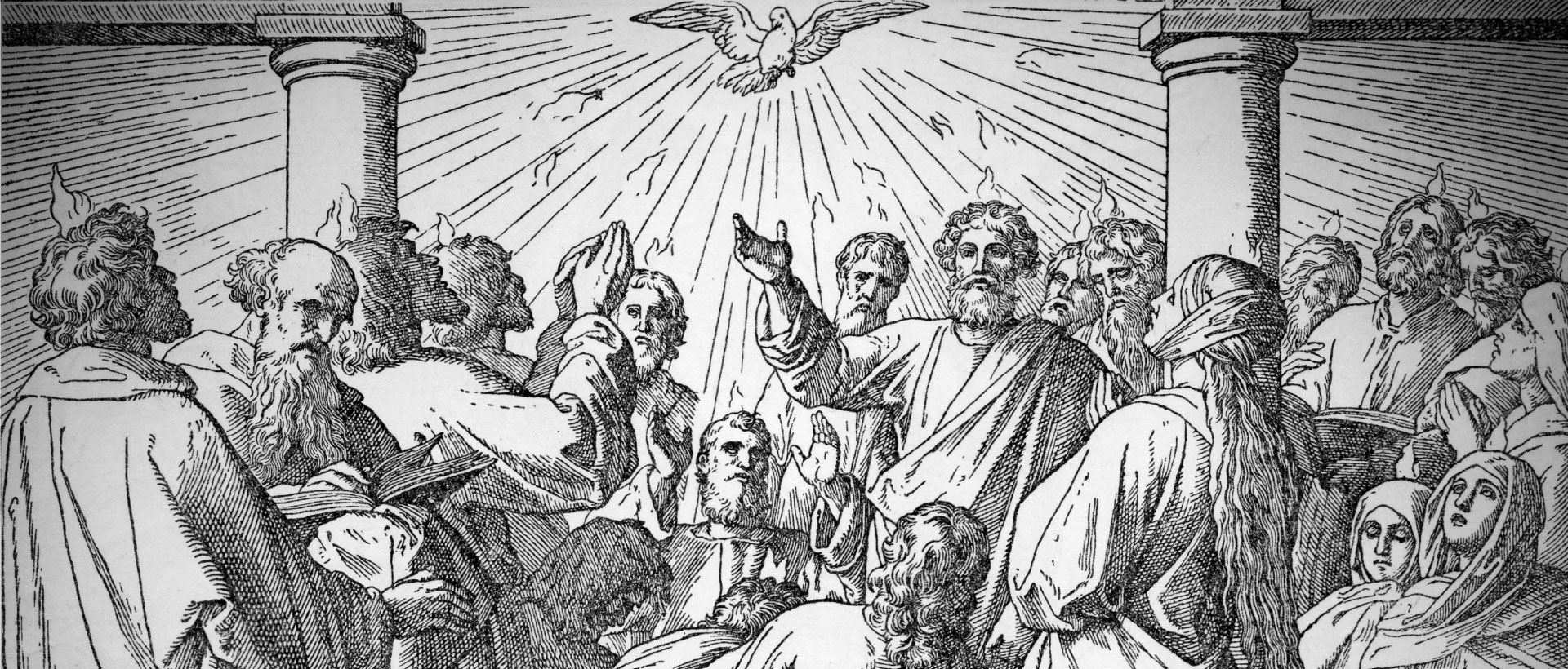 About Parrhesia – The Parrhesians